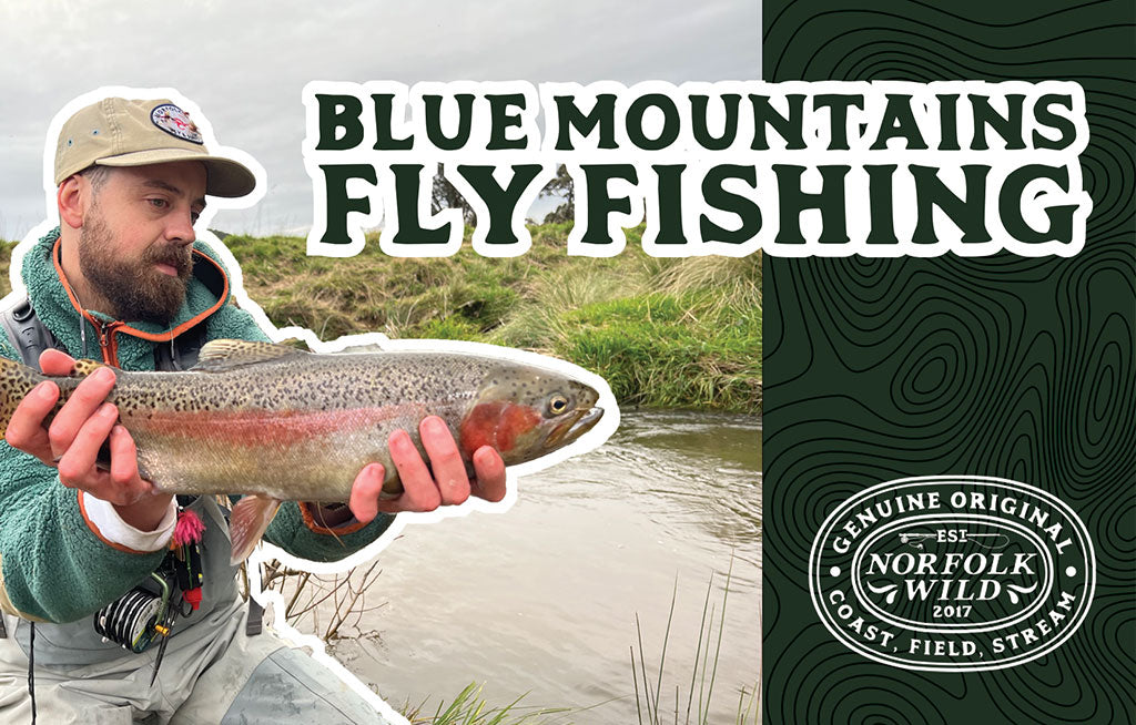 Blue Mountains End of Days! - Norfolk Wild